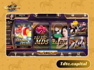 Giới thiệu Thiên đường trò chơi - Cổng game số 1 Việt Nam